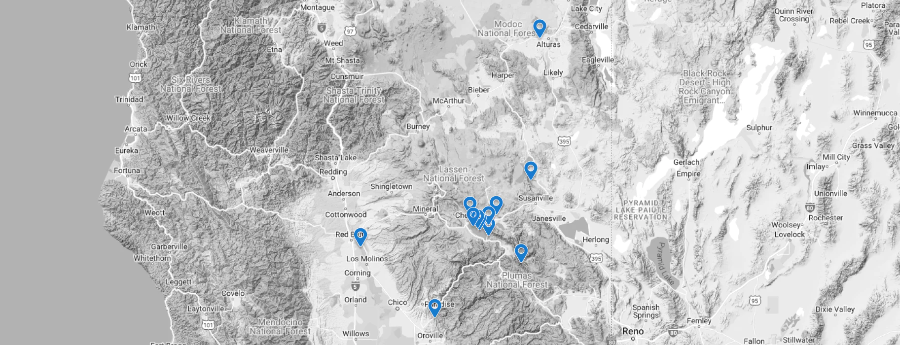 Tree Services Westwood, CA | Lemaster Tree Service