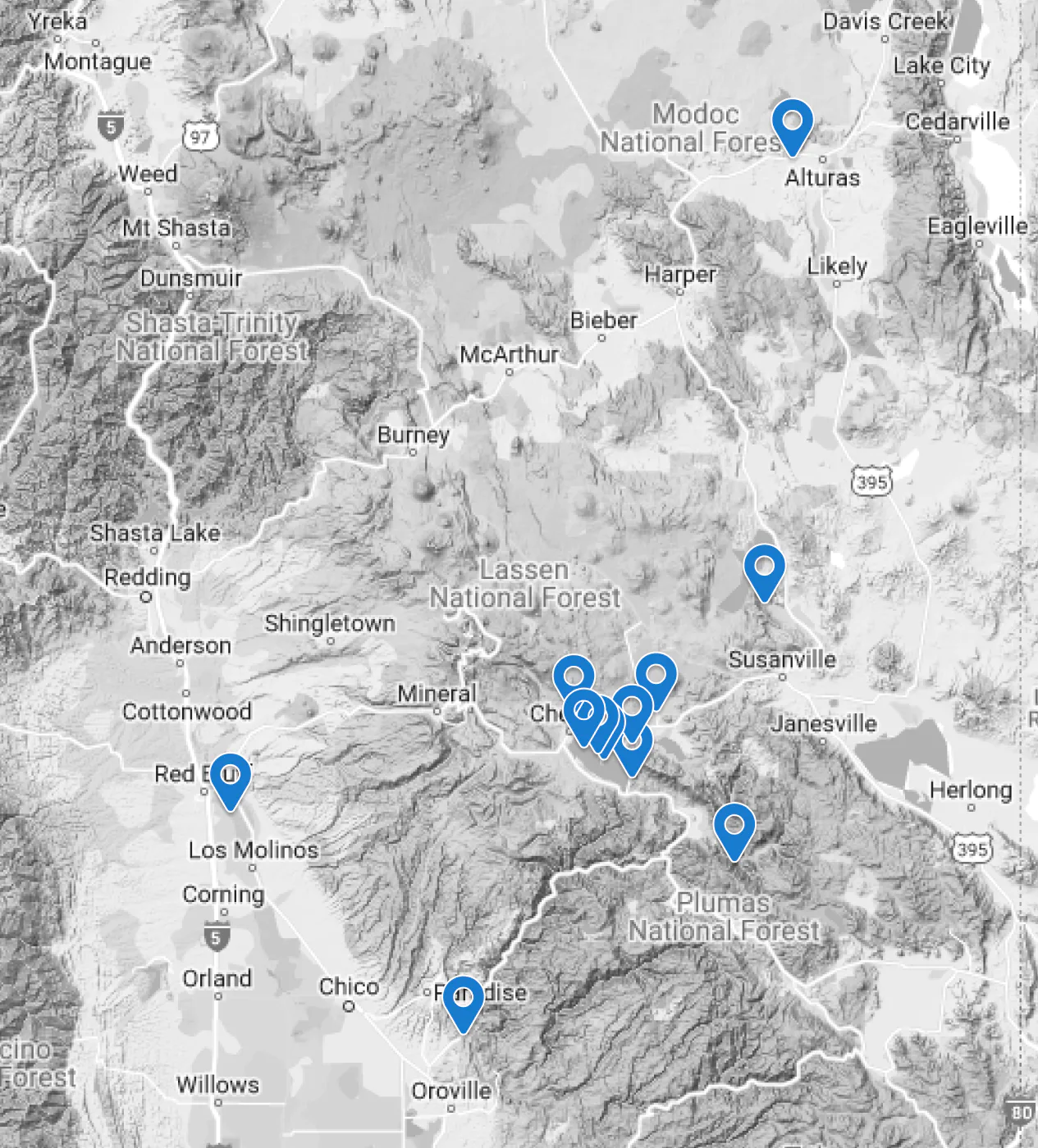 Tree Services Westwood, CA | Lemaster Tree Service