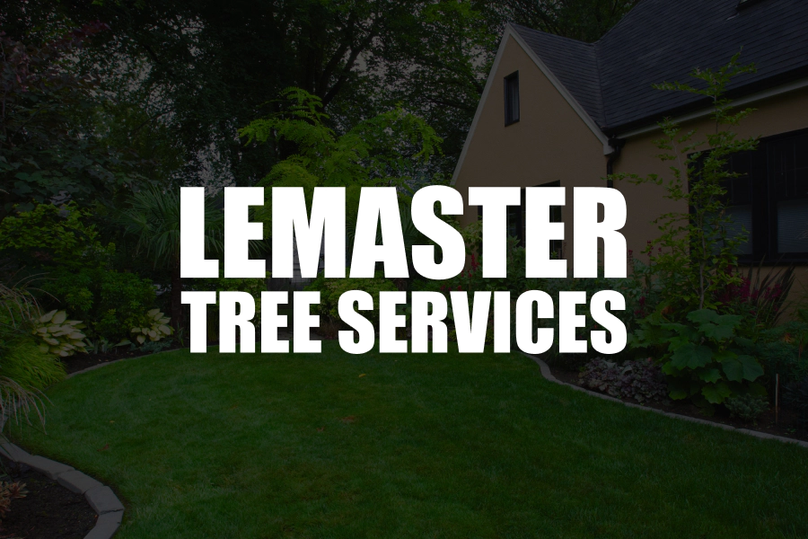 Tree Services Westwood, CA | Lemaster Tree Service